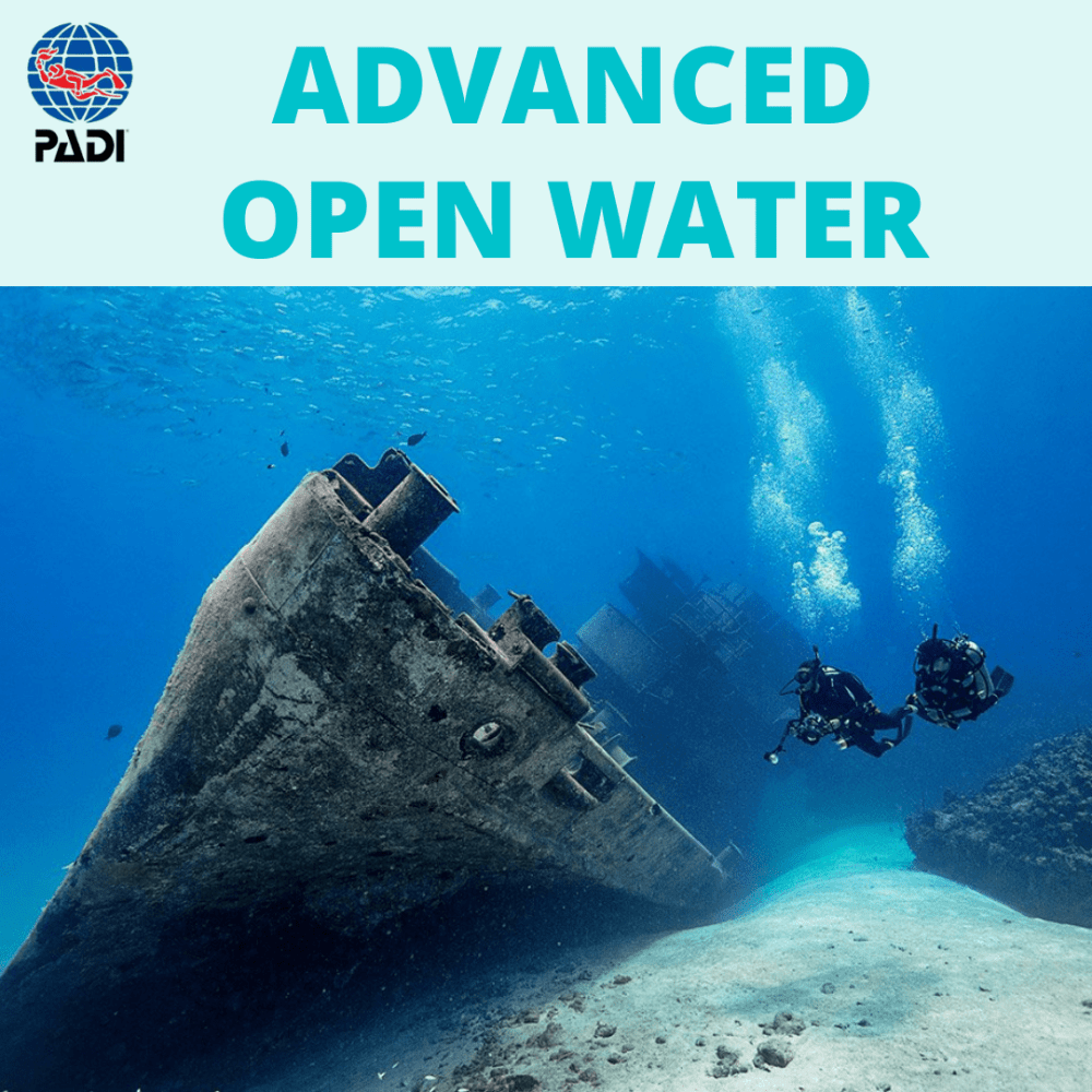 PADI Advanced Open Water (Aow) – New England Dive