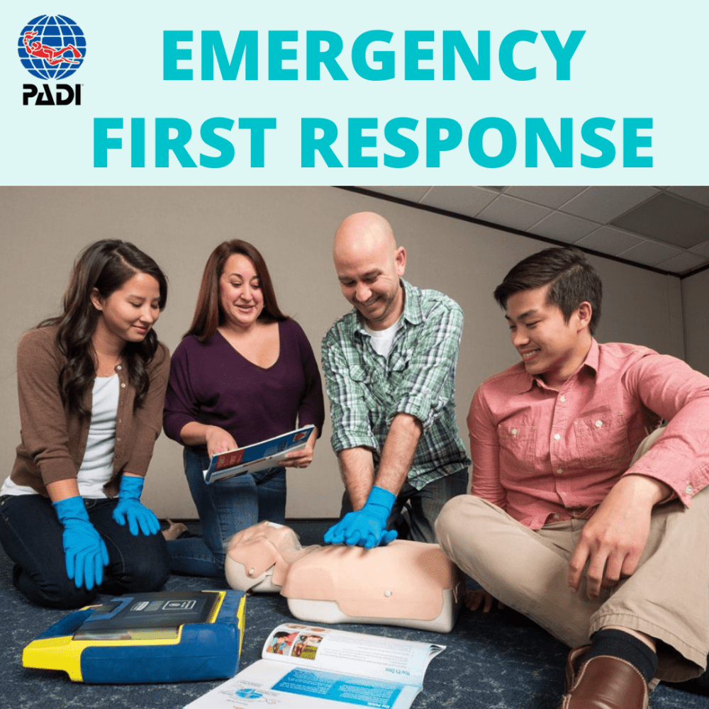 PADI Emergency First Response (Efr) – New England Dive
