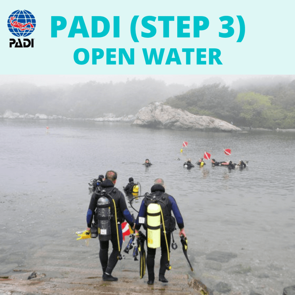 PADI Recreational Dive Courses | New England Dive